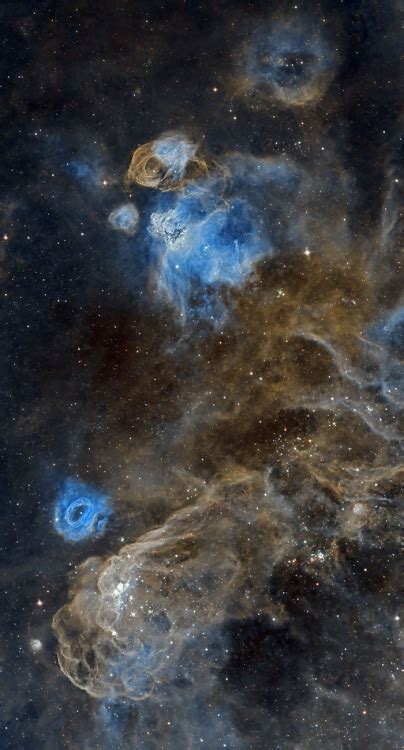 Seagull And Cosmic Reef Nebulae © Bob Wengewicz Tumbex