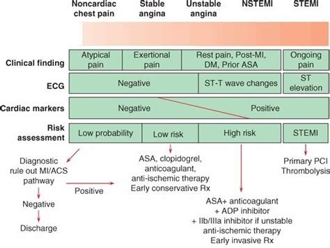 The 25 Best Stemi Vs Nstemi Ideas On Pinterest Sepsis Prognosis Pediatric Physician