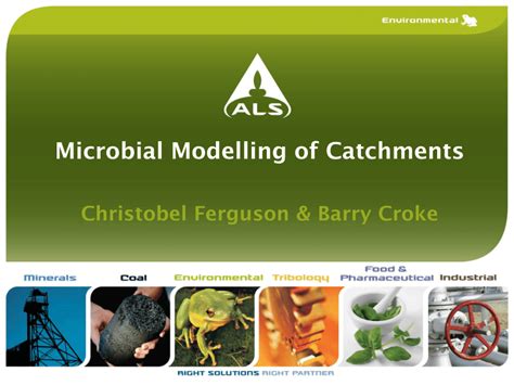 Pdf Microbial Modelling Of Catchments