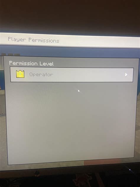 Operator Permissions Missing R Minecraft