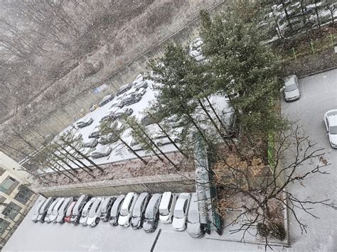 Test Object Detection Model By Tree