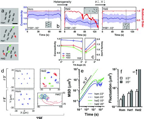 Motion And Internal Dynamics Of Heterogeneous Clusters A Download Scientific Diagram
