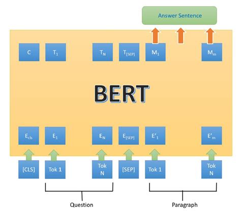 Next Sentence Prediction using BERT - GeeksforGeeks