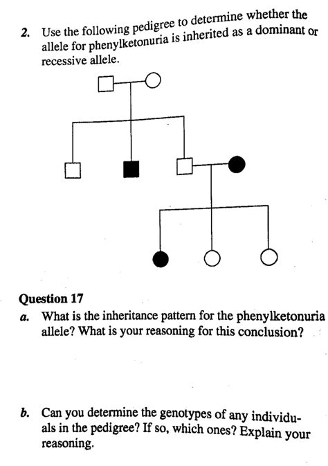 Solved Allele For Phenylketonuria Is Inherited As A