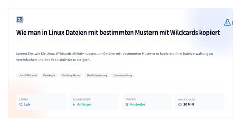 Linux Wildcards Dateien Effizient Kopieren Anleitung And Tipps Labex
