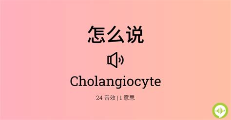 怎么发音 Cholangiocyte
