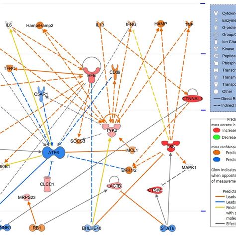 Core Signaling Pathways Related To Hematopoiesis Twenty Weeks After