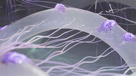 Permeadermflexing The Power To Heal Behance