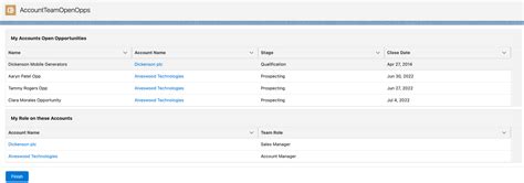 Flow Use Case Create A Filtered Opportunity List View Based On Account