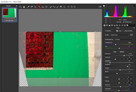 Solved Open Nef File As A Smartobject Adobe Product Community 10409411