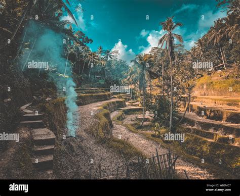 Tegallalang Rice Terraces From Above In Ubud Bali Indonesia Stock