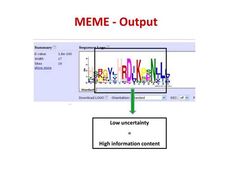 ppt multiple sequence alignments and motif discovery powerpoint