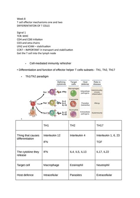 Week T Cells Lecture Notes And Week T Cell Effector Mechanisms One And Two Studocu