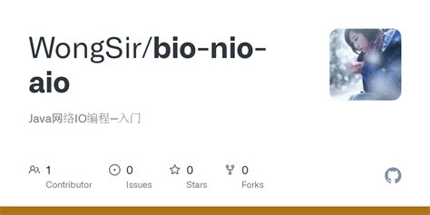 GitHub WongSir bio nio aio Java网络IO编程 入门