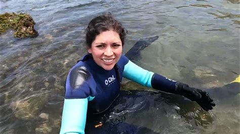 Arantas Previas Youtube