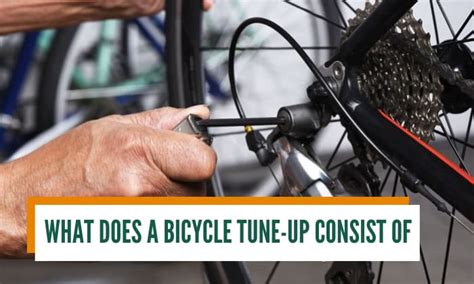 How To Install Brakes On A Bicycle Beginners Tutorial
