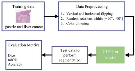 Applied Sciences Free Full Text Attention Based Two Branch Hybrid Fusion Network For Medical