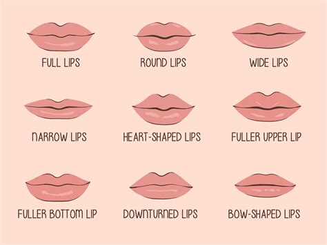 Do You Have Heart Shaped Lips Heres How To Get Them