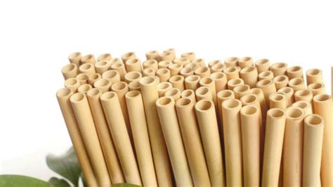 How Long Does It Take For A Plastic Straw To Decompose Kimecopak