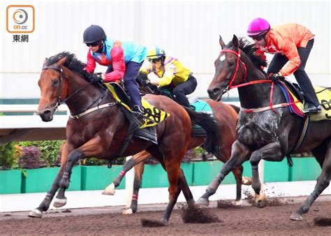 今朝罕見泥閘 佢竟然殺低一批高分馬！