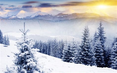 Wallpaper Desktop Winter Scenes 53 Images