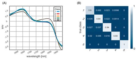 Biology Special Issue Forensic Anthropology New Methodological And Theoretical Perspectives