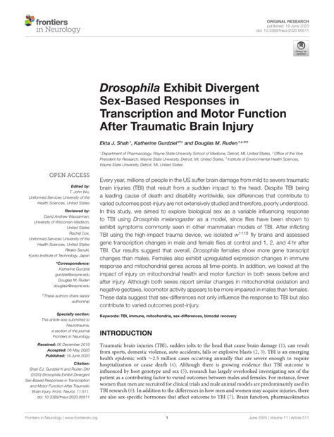Pdf Drosophila Exhibit Divergent Sex Based Responses In Transcription