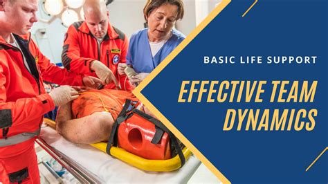 Understanding Effective Team Dynamics In Bls