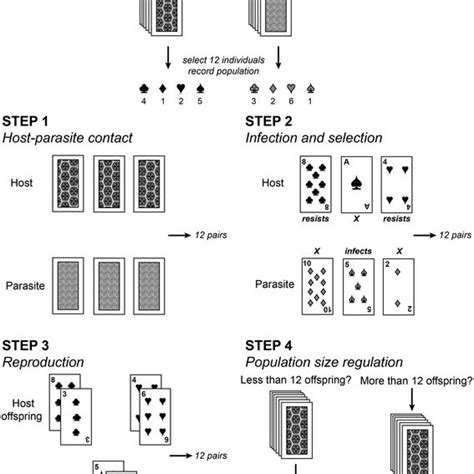 Red Queen Model Of Host Parasite Coevolution A Schematic Of Download Scientific Diagram