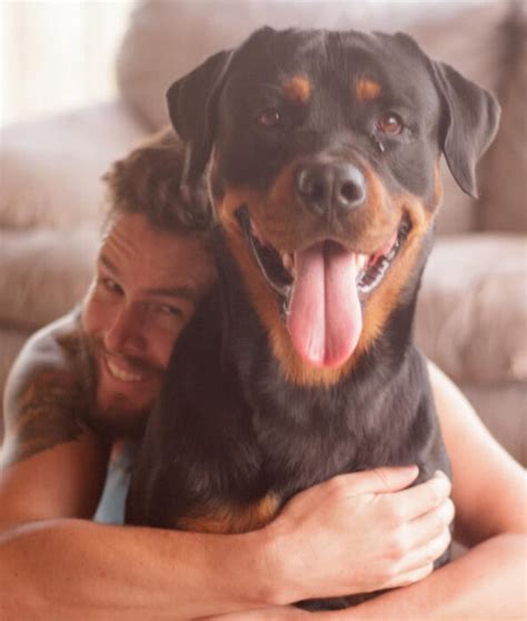 25 Perritos Que No Pueden Dejar De Sonreír ¡son Adorables