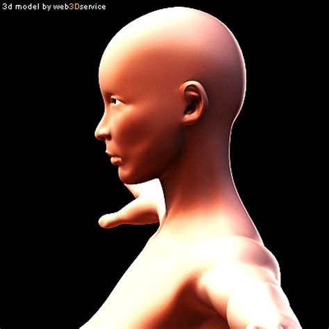 Slim Asian Female 3d Model