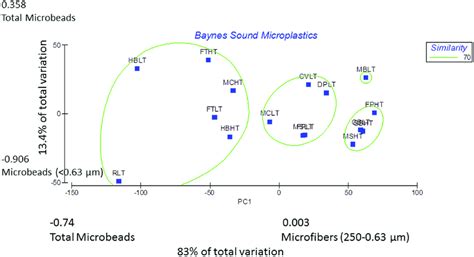 Principal Component Analysis For The Microplastic Characteristics Of