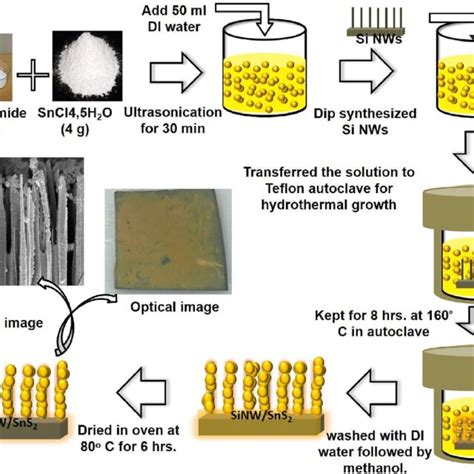 Synthesis Procedure Schematic For Synthesizing Of Sns 2 Coated Sinw By