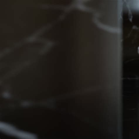 Root Activator Shampoo