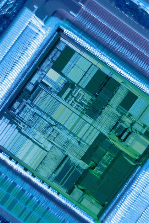 A List Of The Steps In The Information Processing Cycle