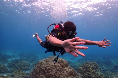 My First Dive I Was Scared But Sooo Happy I Quit Smokingdrinking And