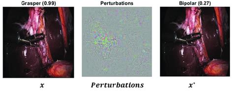 the original image x the perturbation subtracted from x using the