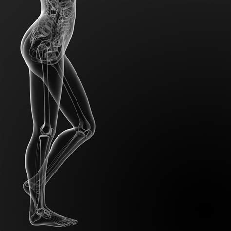 Human Ribs Free Stock Photos Images And Pictures Of Human Ribs