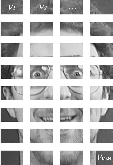 Figure 1 From Unsupervised Ensemble Classification For Biometric