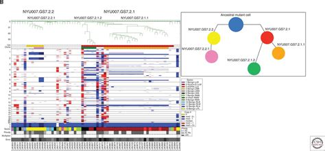 Single Cell Applications Of Next Generation Sequencing