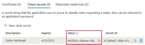 Connect Microsoft Outlook 365 To Odoo Using Azure Oauth — Odoo 140 Documentation