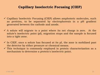 Capillary Electrophoresis Pptx