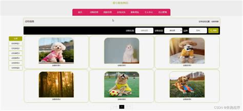 node js毕业设计爱心救助网站（express） csdn博客
