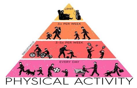 Physical Activity Pyramid