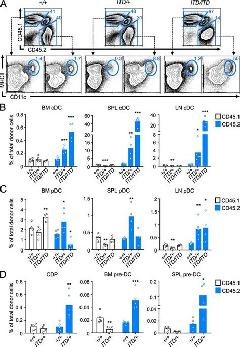 Flt3 Itd Expands Dcs And Dc Progenitors In A Cell Intrinsic Manner Download Scientific Diagram