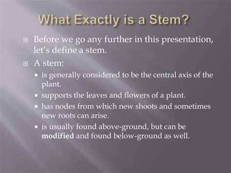 Stem Functions And Its Modifications Pptx Gardening Home And Garden