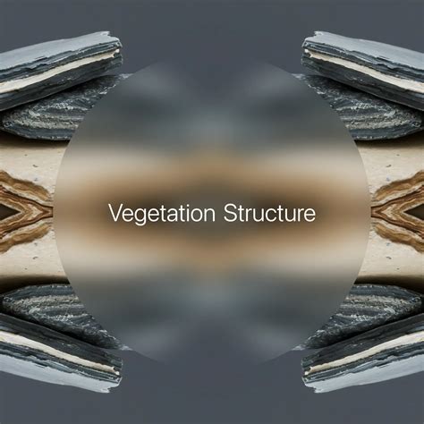 Vegetation Structure → Term