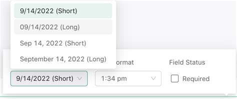 Studio Form Date Field Options FileMakerHacks