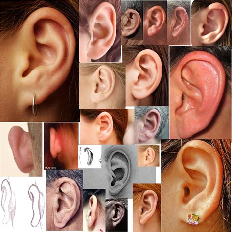 Drawing Of A Human Ear Surrealist Drawing Techniques