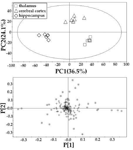 pca scores plot pc1 pc2 and the corresponding loadings plot of the